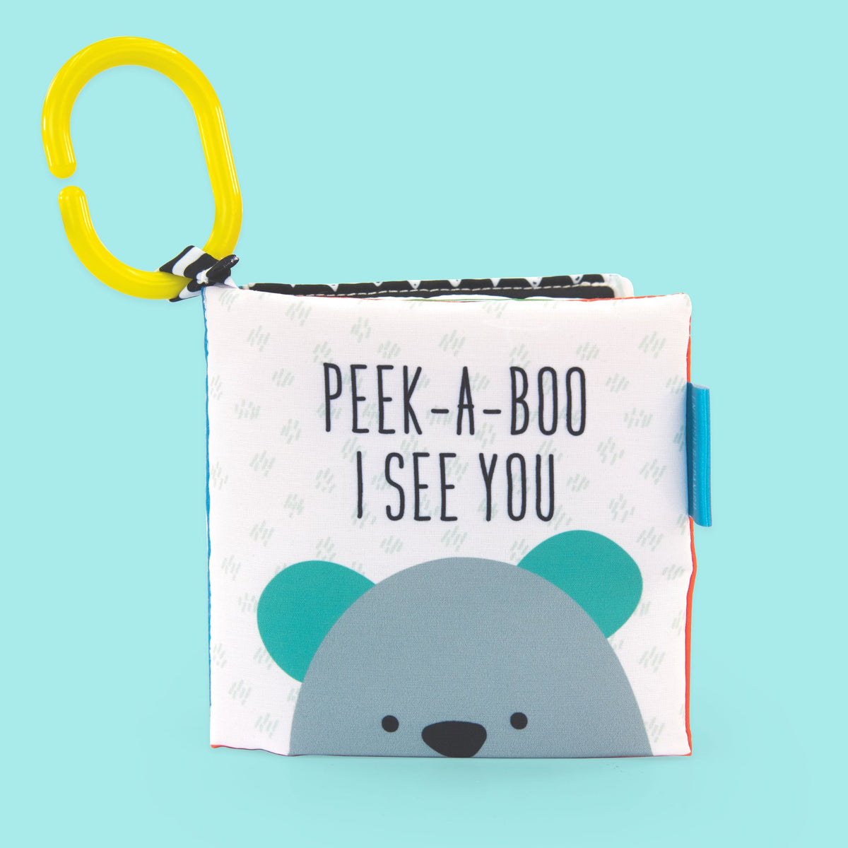Peek-A-Boo Book – Sassy Baby